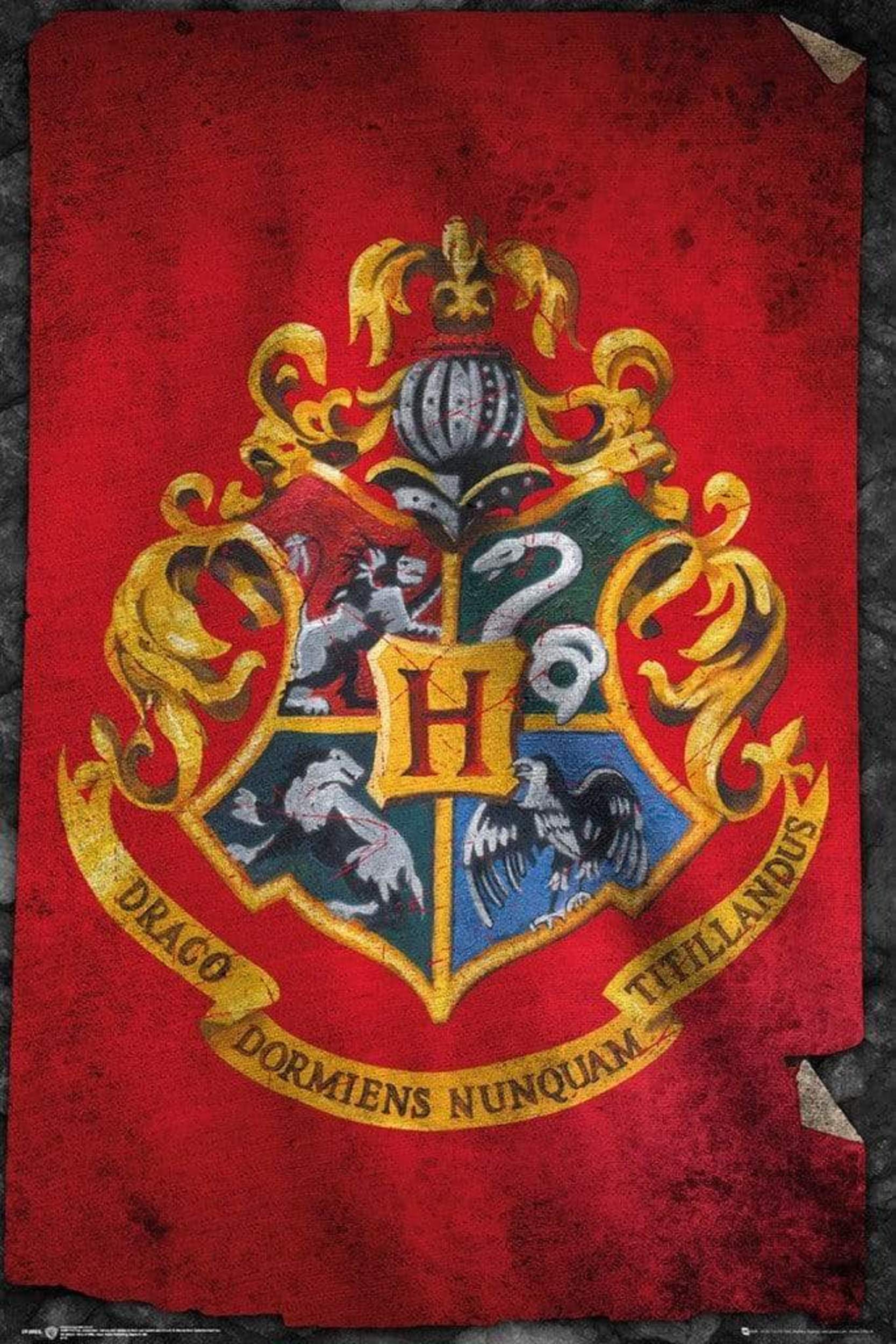 Poster Harry Potter Hogwarts Flag 61x91,5cm | Yourdecoration