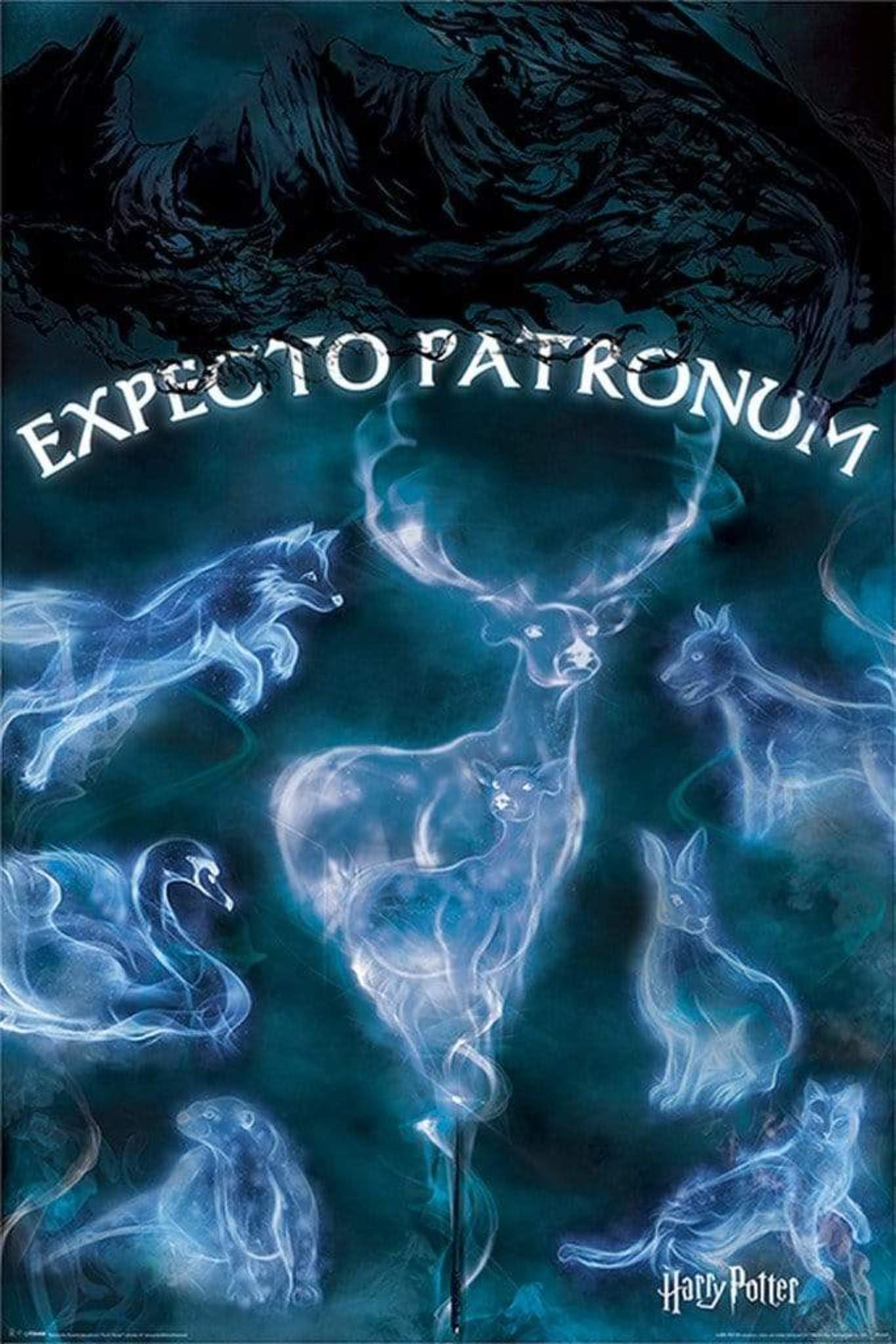 Poster Harry Potter Patronus 61x91,5cm | Yourdecoration.nl